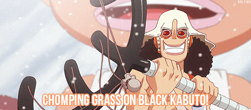 A08 Parallax & Straw Hat Gallery